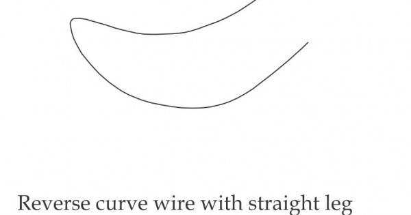 Buy Reverse Curve Niti Round Wires D-Tech Online at Lowest ...