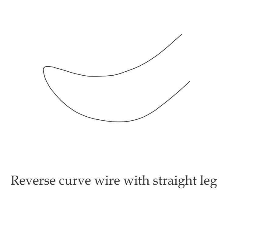 Dental Laboratory Ovoid Orthodontic Arch Wire 10-Pack Dental Reverse ...