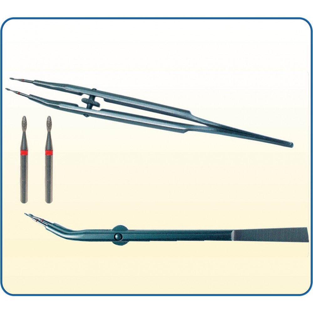 Buy Crowny Crown Holder 70004 DFS Online at Lowest Best Price ...