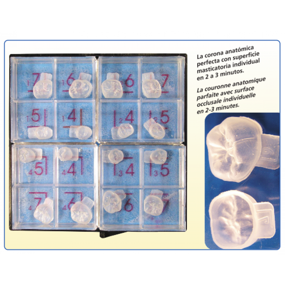 Buy Occlusal Surface Modelling Set 11100 DFS Online at Lowest ...