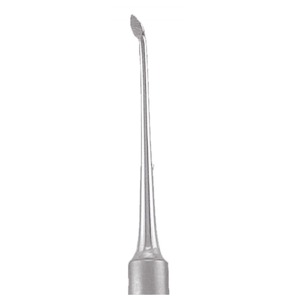 Buy Carver Discoid Cleoid CD4 5 Handle No 4 GDC Online at ...