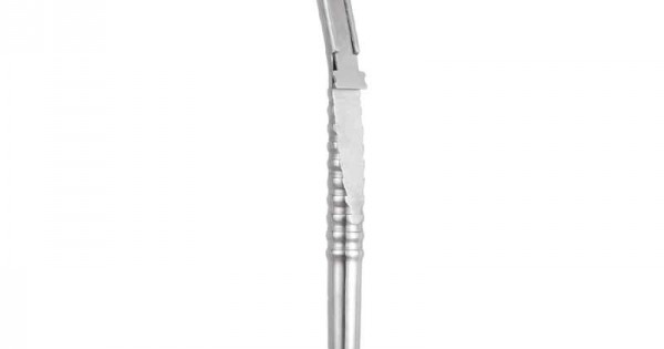 Buy and Shop Genuine Bone Scrapers Online at Best Price at ...