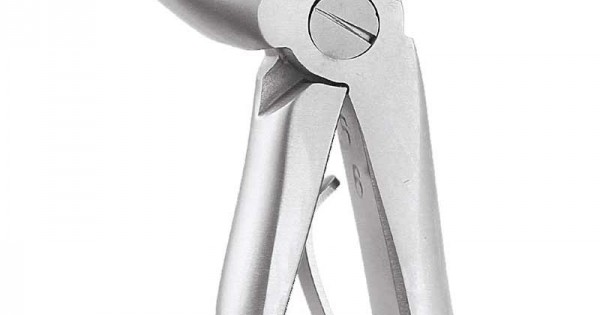 Buy and Shop Genuine Extraction Forceps PEEDO Online at Best ...