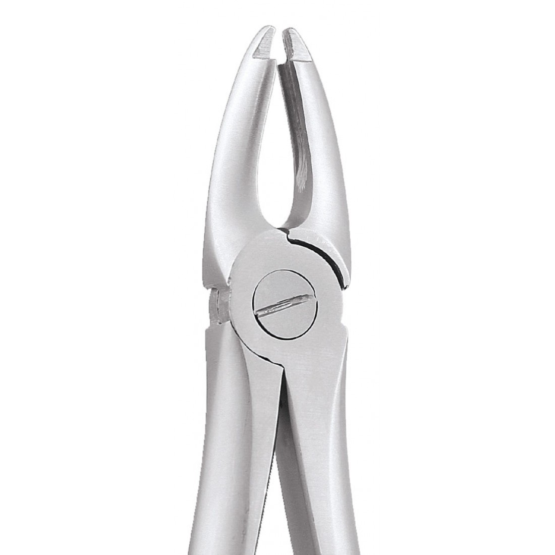 Buy Extraction Forceps Atraumatic Upper Centrals and Canines ...