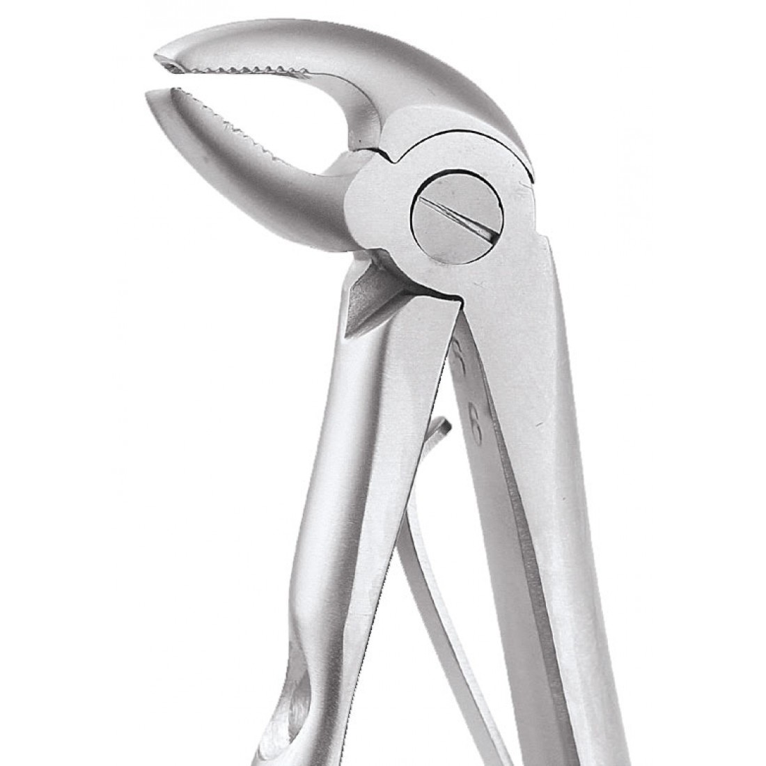 Buy Standard Extraction Forcep Peedo Lower Premolars FX1CS ...