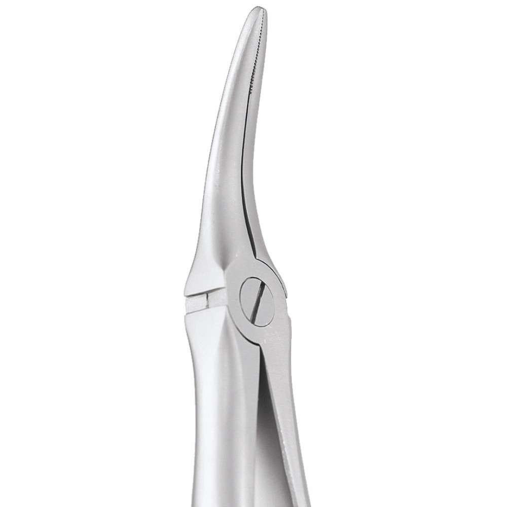 Buy Extraction Forceps Secure Upper Roots SFX149-11 GDC Online ...