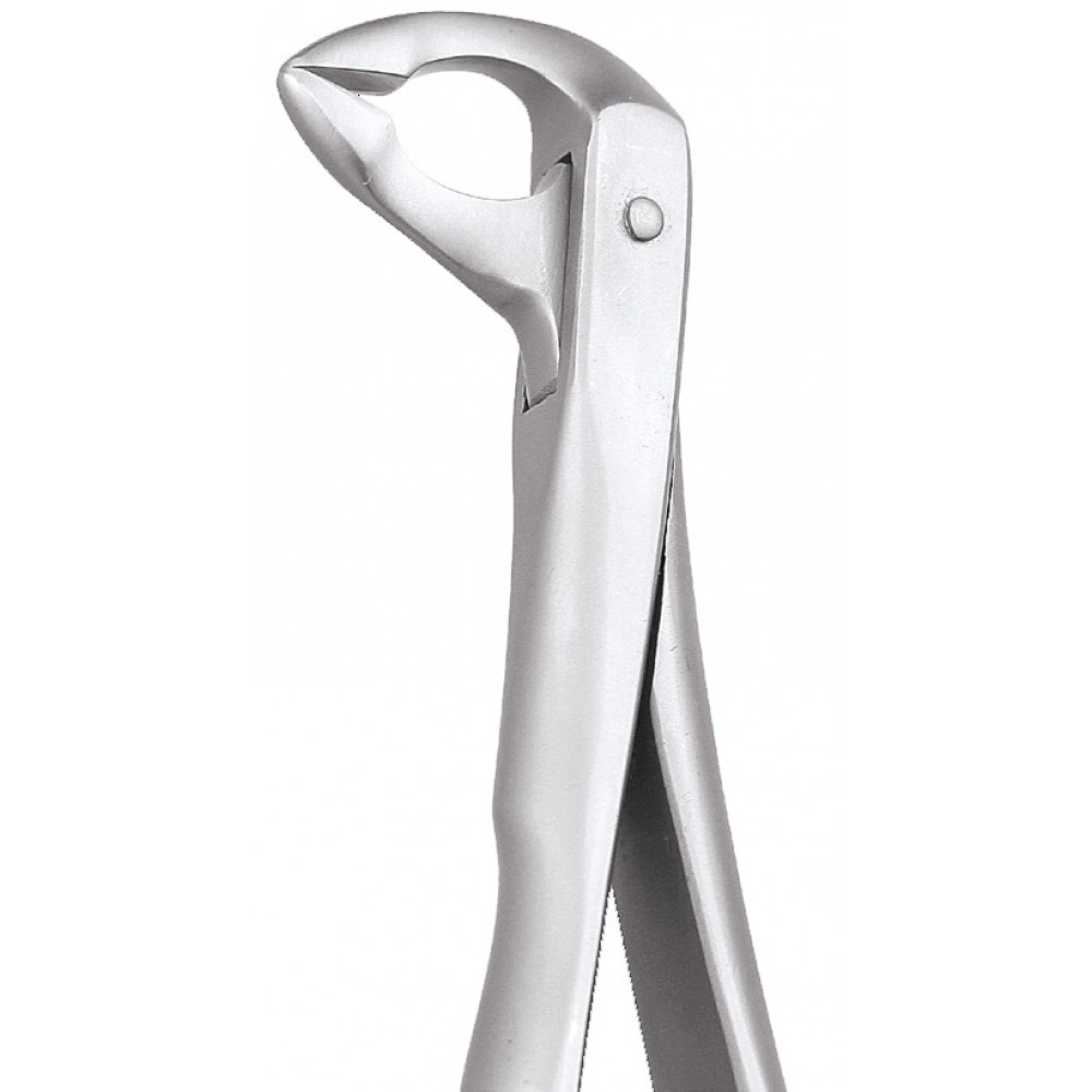 Buy Extraction Forceps Secure Lower Roots SFX974 GDC Online ...