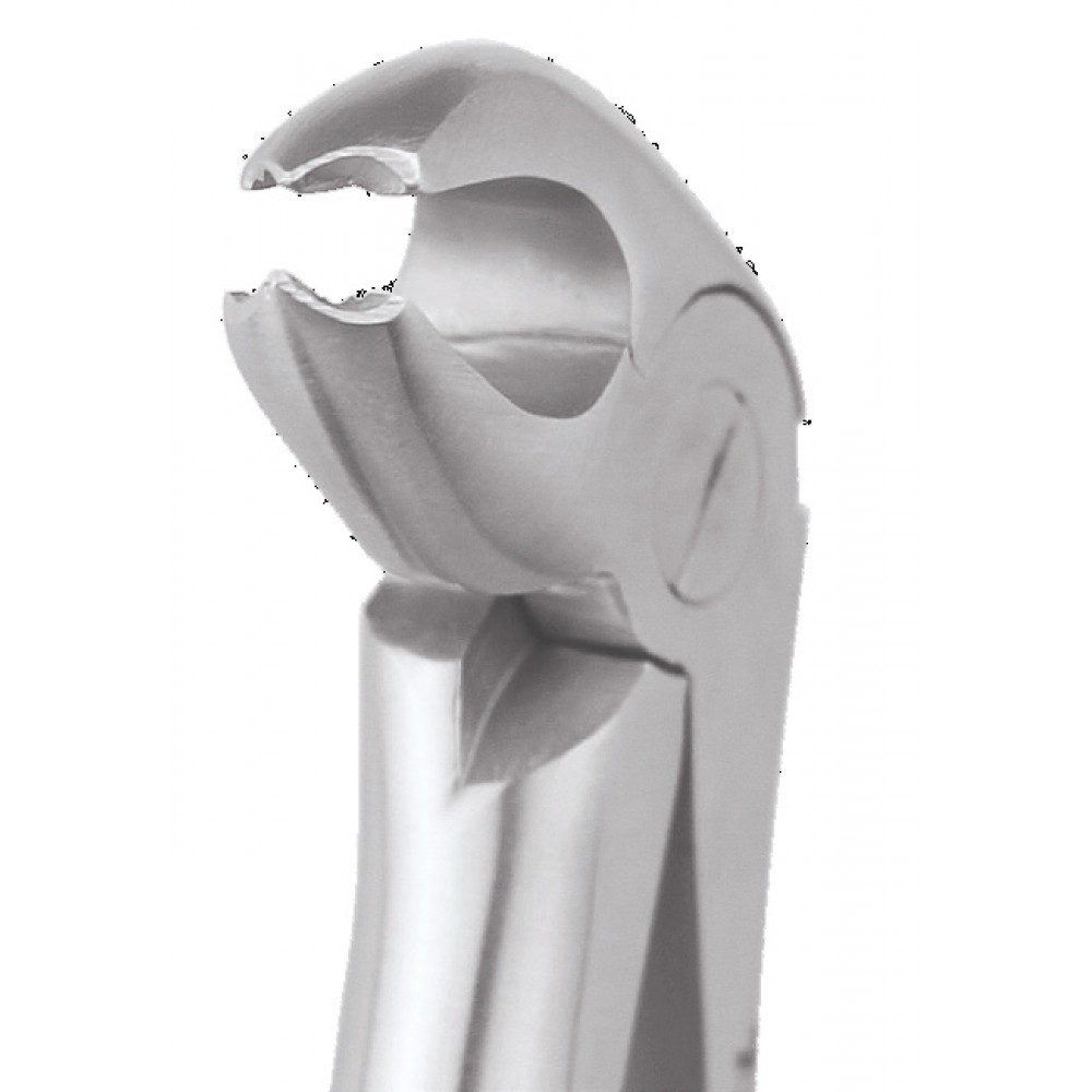 Buy Standard Extraction Forcep Lower Molars FX22S GDC Online ...