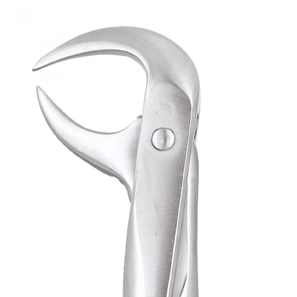 Buy Standard Extraction Forcep Lower Molars FX86AS GDC Online ...