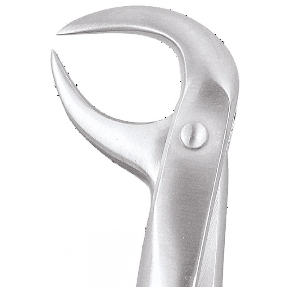 Buy Standard Extraction Forcep Lower Molars FX86BS GDC Online ...