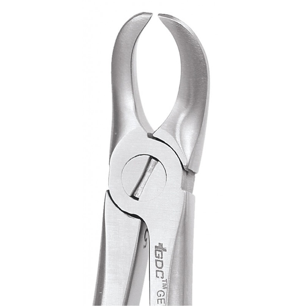 Buy Standard Extraction Forcep Lower Molars FX87S GDC Online ...