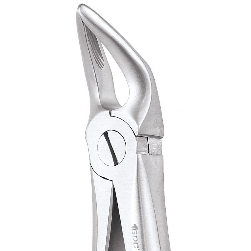 Buy Standard Extraction Forcep Lower Roots FX31S GDC Online ...