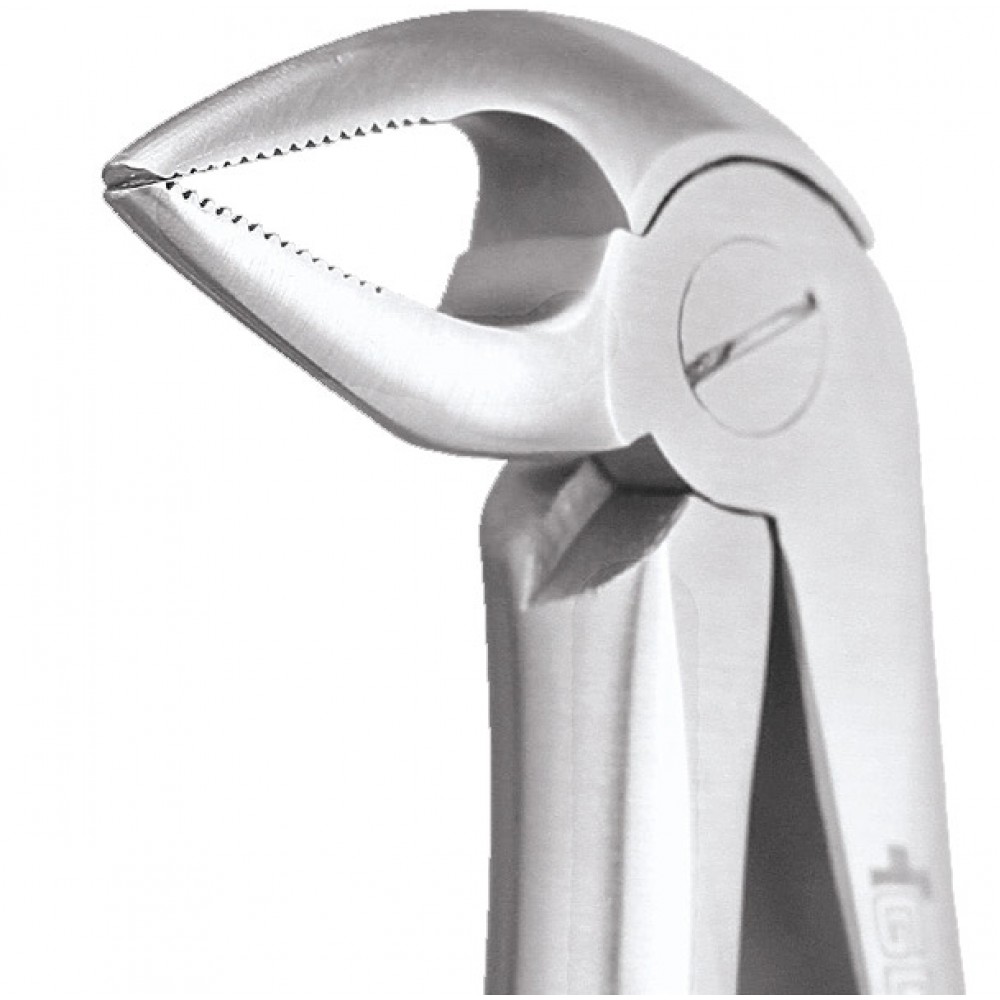 Buy Standard Extraction Forcep Lower Roots FX33AS GDC Online ...