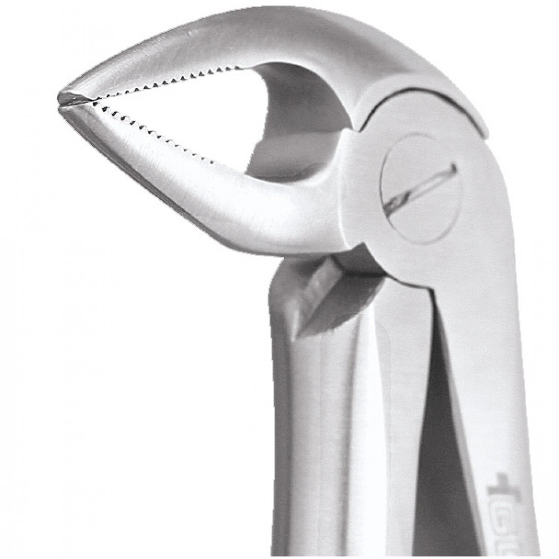 Buy Standard Extraction Forcep Lower Roots FX33AS GDC Online ...