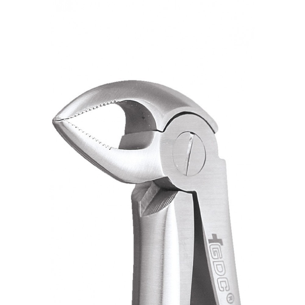 Buy Standard Extraction Forcep Lower Roots FX33S GDC Online ...