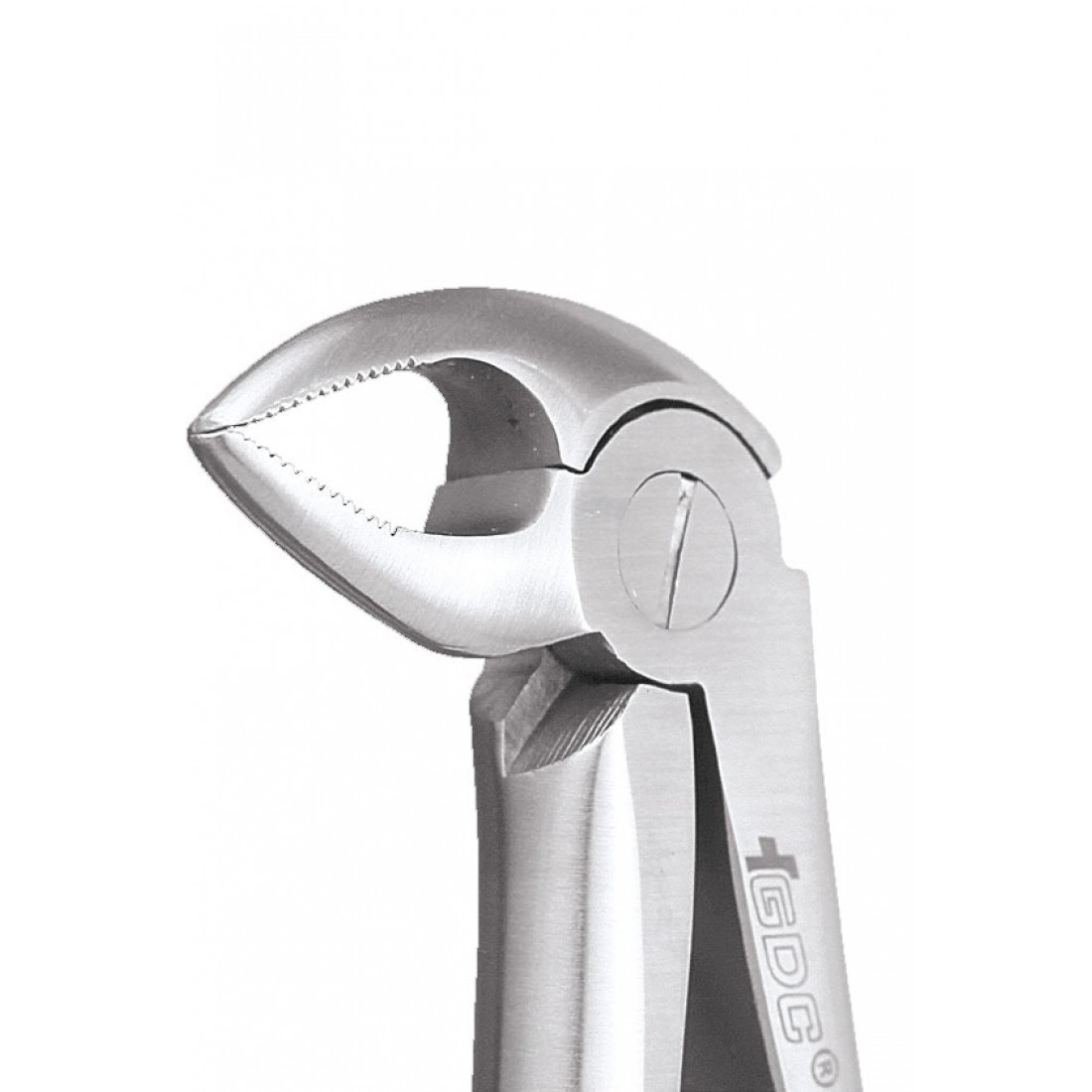 Buy Standard Extraction Forcep Lower Roots FX33S GDC Online ...
