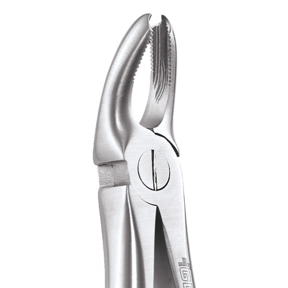 Buy Standard Extraction Forcep Upper Molars FX18AS GDC Online ...