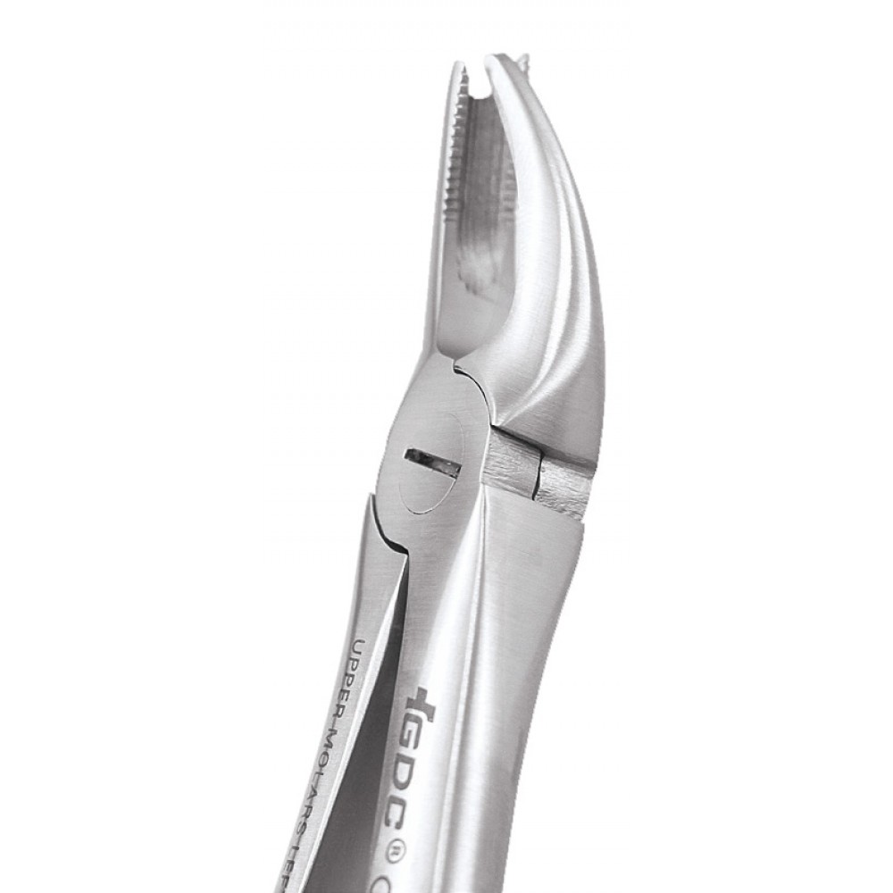 Buy Standard Extraction Forcep Upper Molars Left FX90S GDC ...