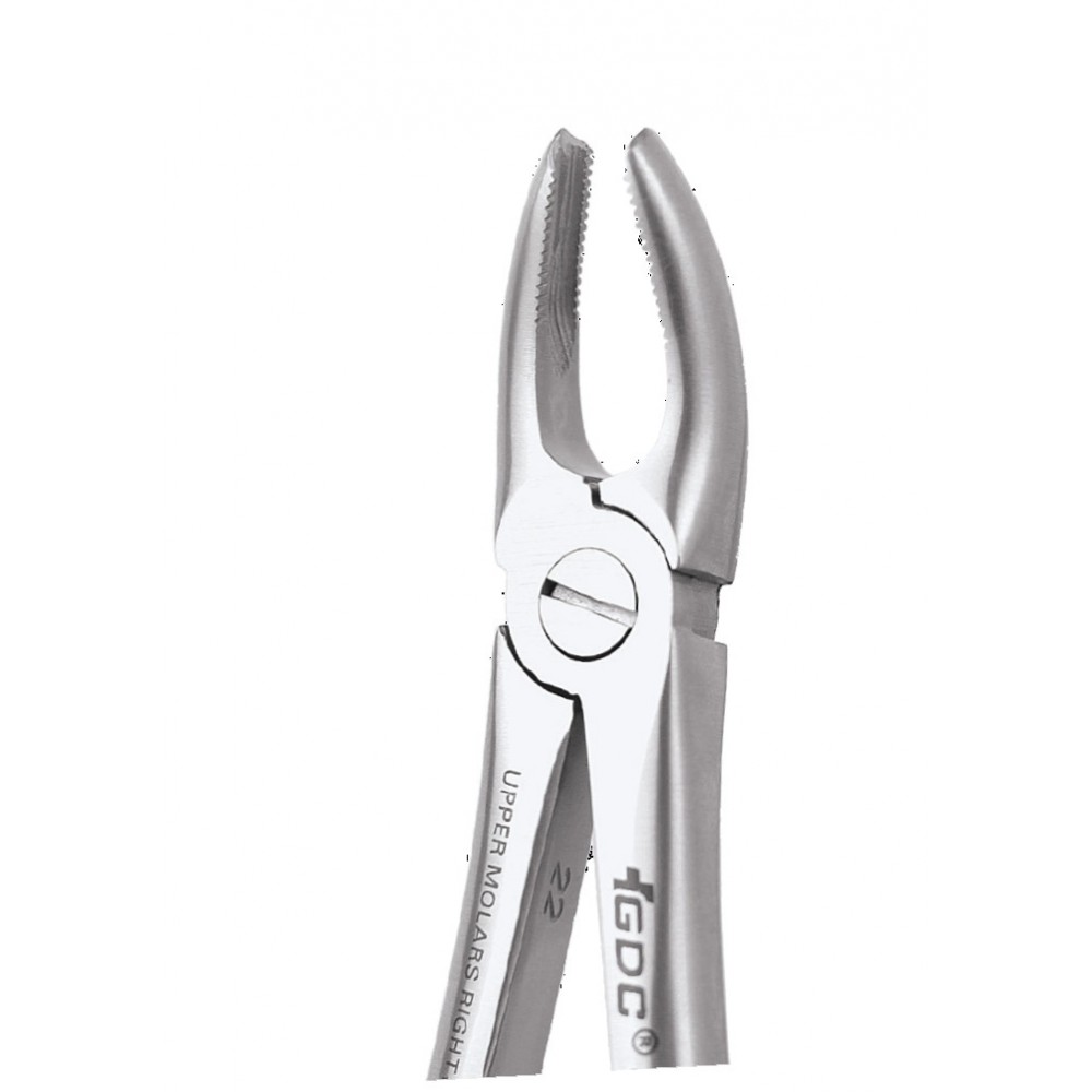 Buy Standard Extraction Forcep Upper Molars Right FX17S GDC ...