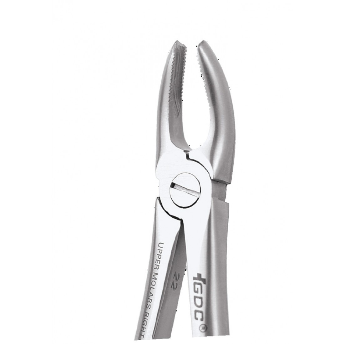Buy Standard Extraction Forcep Upper Molars Right FX17S GDC ...