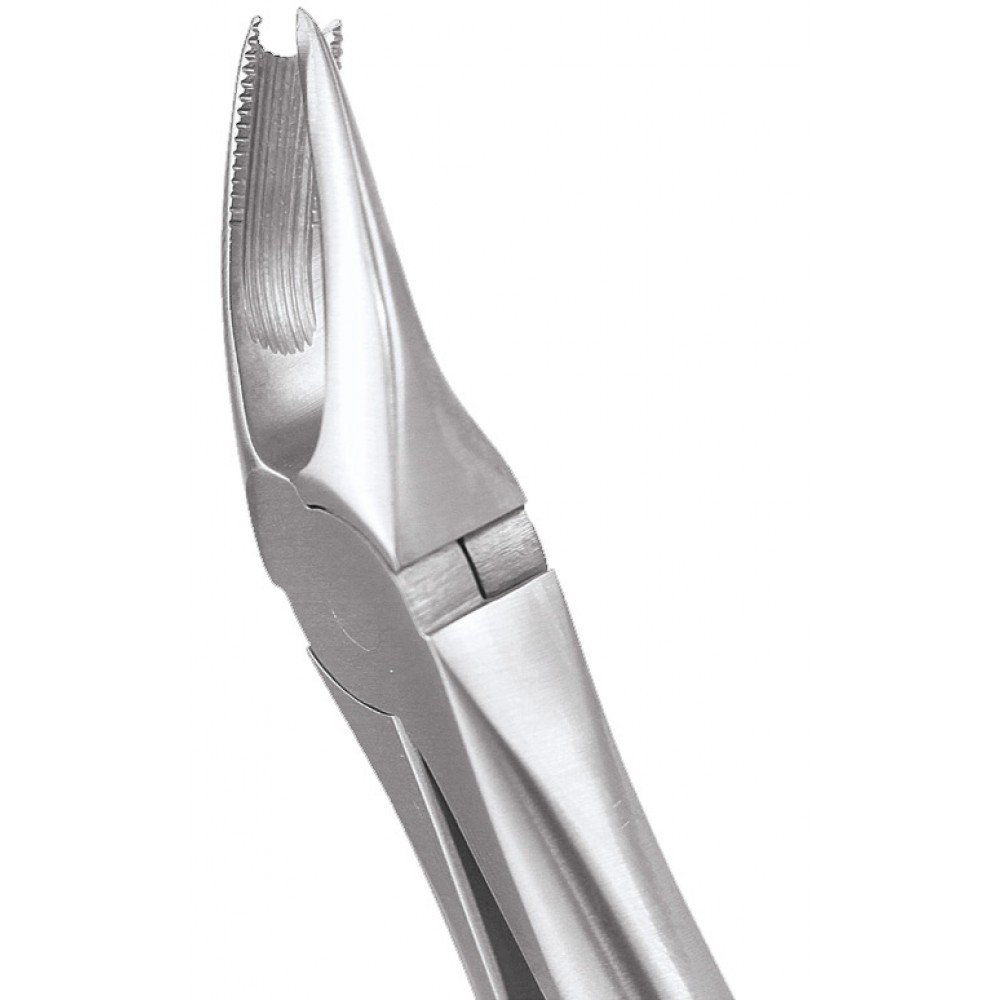Buy Standard Extraction Forcep Upper Molars Right FX89S GDC ...