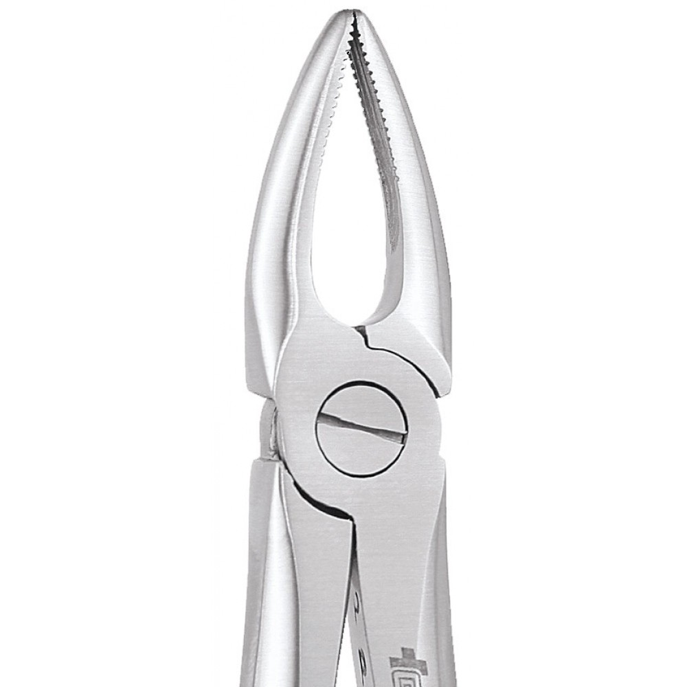 Buy Premium Extraction Forcep Upper Roots FX29P GDC Online ...