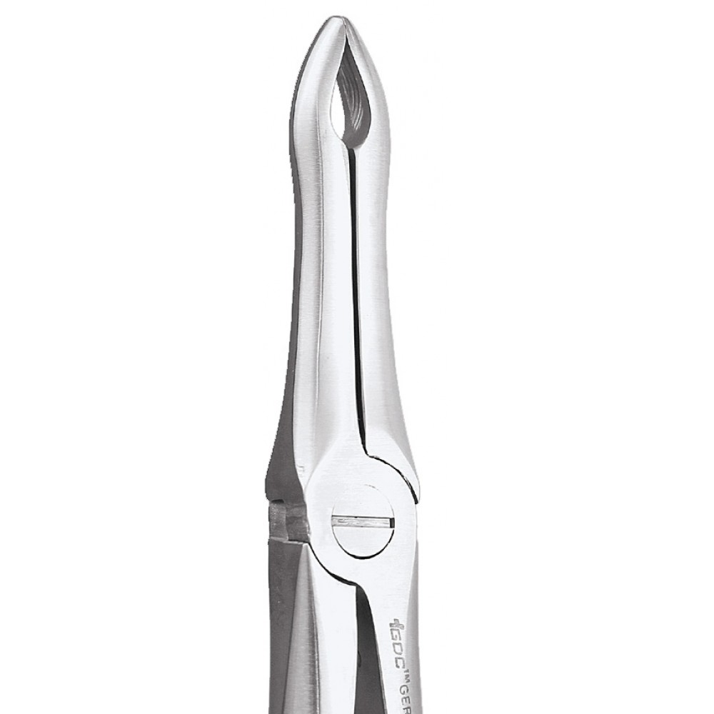 Buy Premium Extraction Forcep Upper Roots FX41P GDC Online ...