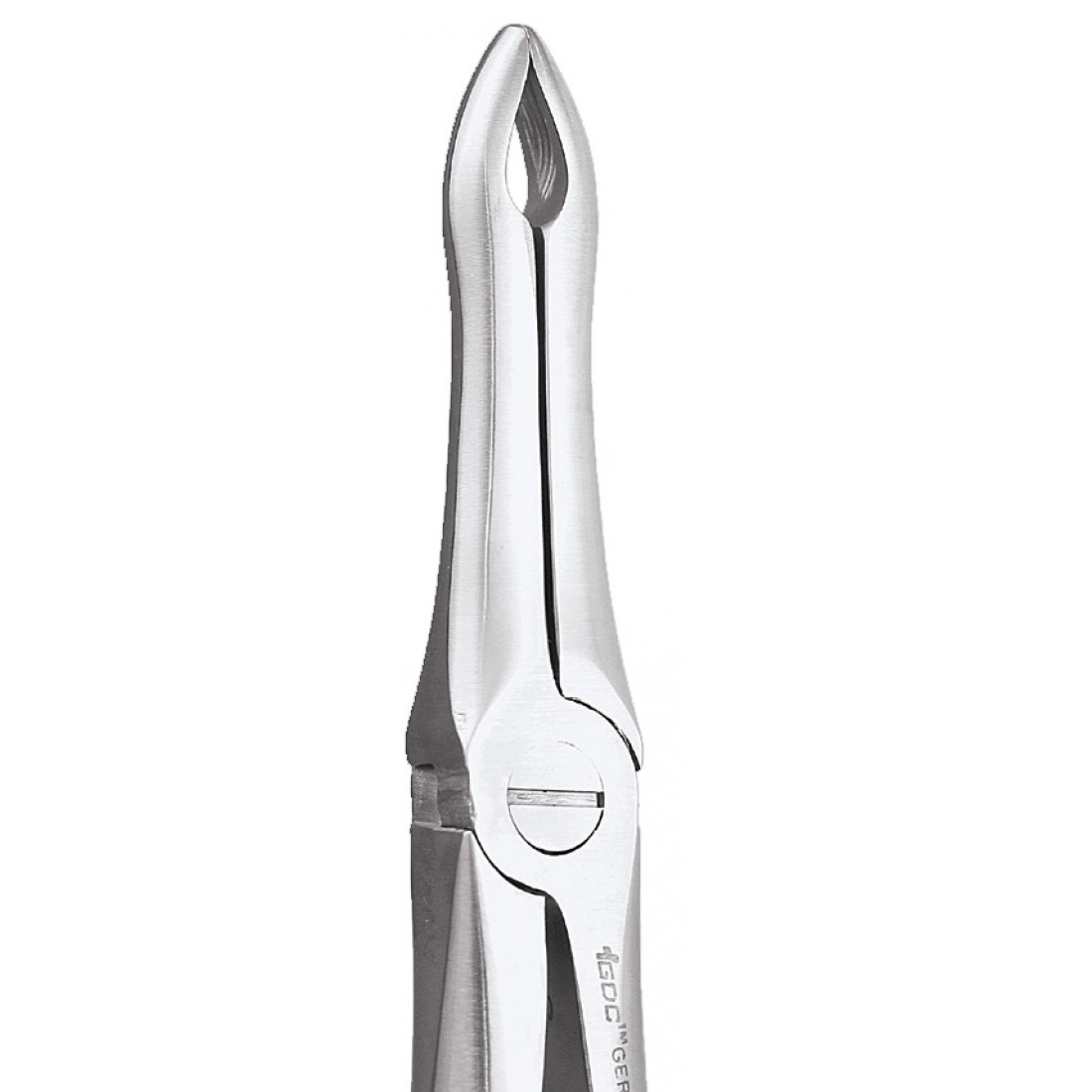 Buy Standard Extraction Forcep Upper Roots FX41S GDC Online ...