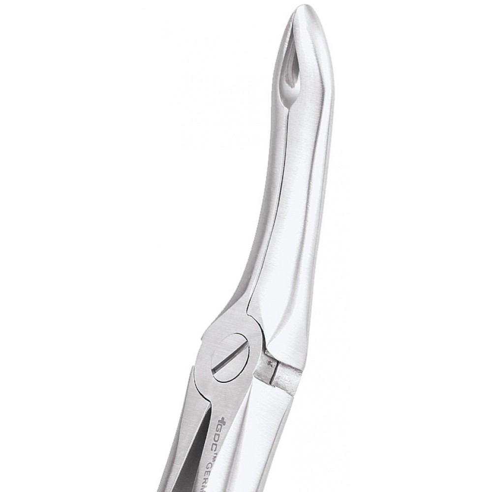 Buy Standard Extraction Forcep Upper Roots FX44S GDC Online ...