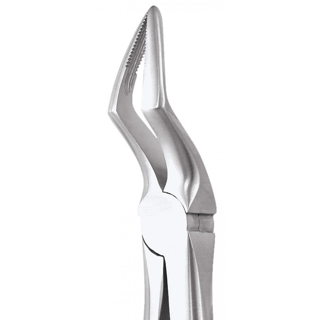 Buy Ergonomic Extraction Forcep Upper Roots FX51AE GDC Online ...