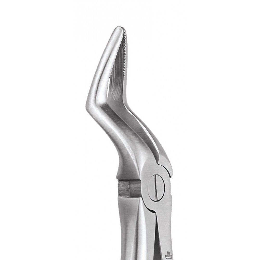 Buy Standard Extraction Forcep Upper Roots FX51S GDC Online ...