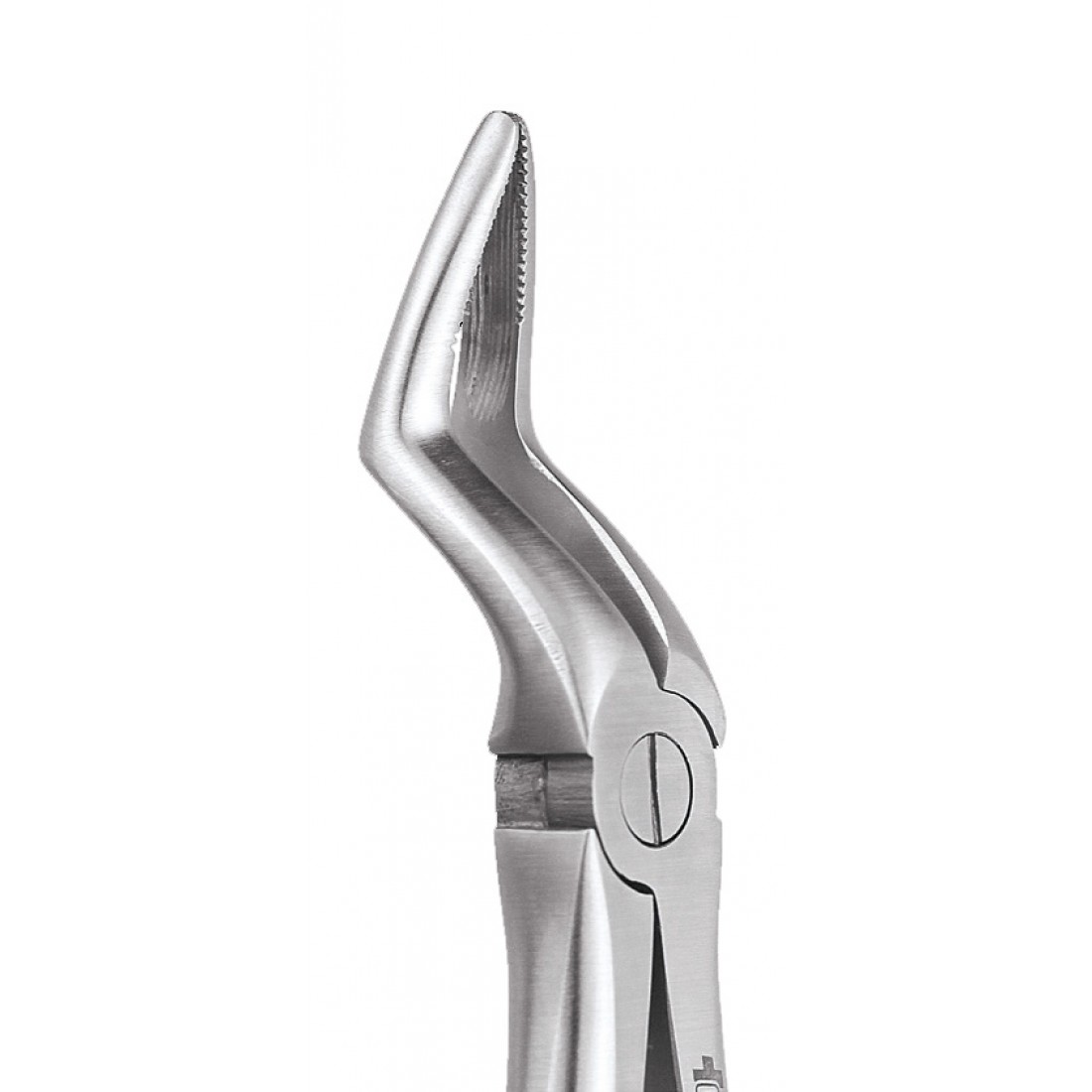 Buy Standard Extraction Forcep Upper Roots FX51S GDC Online ...
