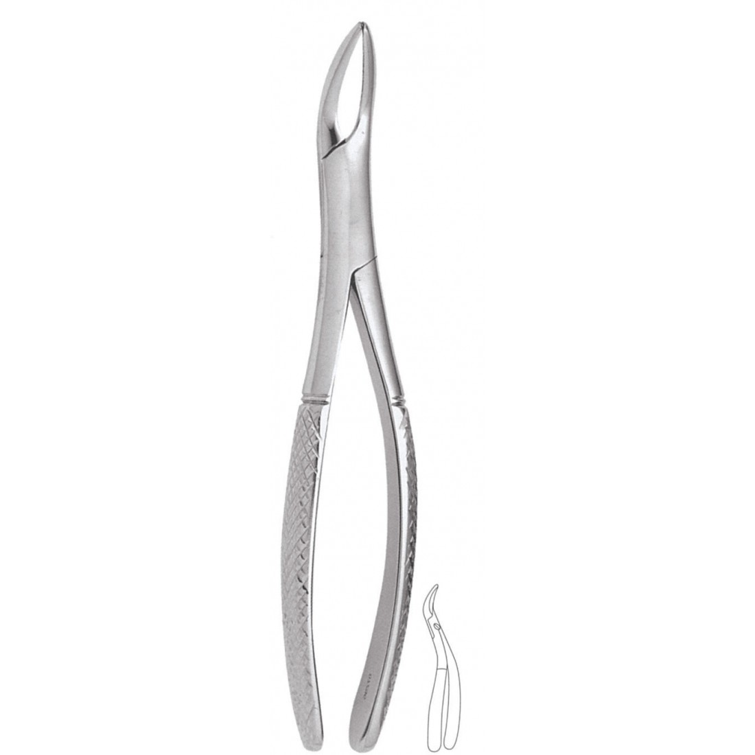 Buy Universal for Upper Roots Extraction Forcep FX221 GDC ...