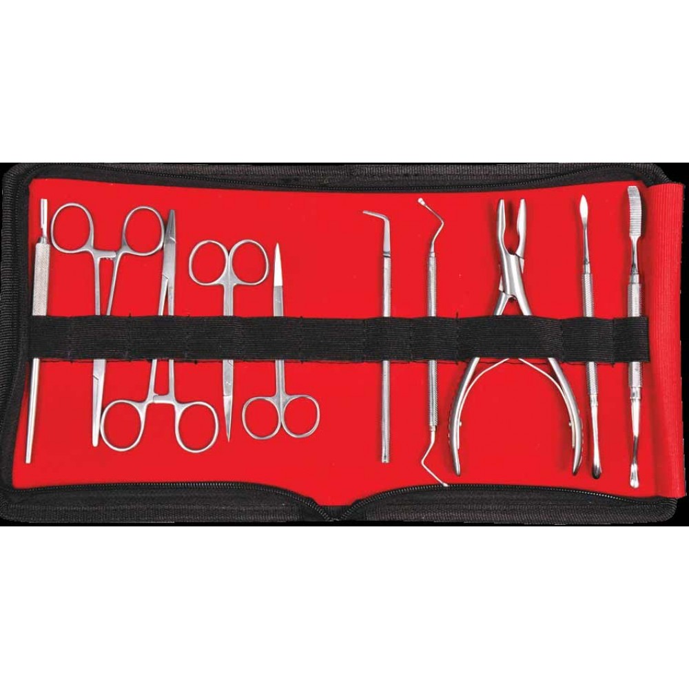 Buy Surgical Instruments Set of 10 in Pouch SISP10 GDC Online ...