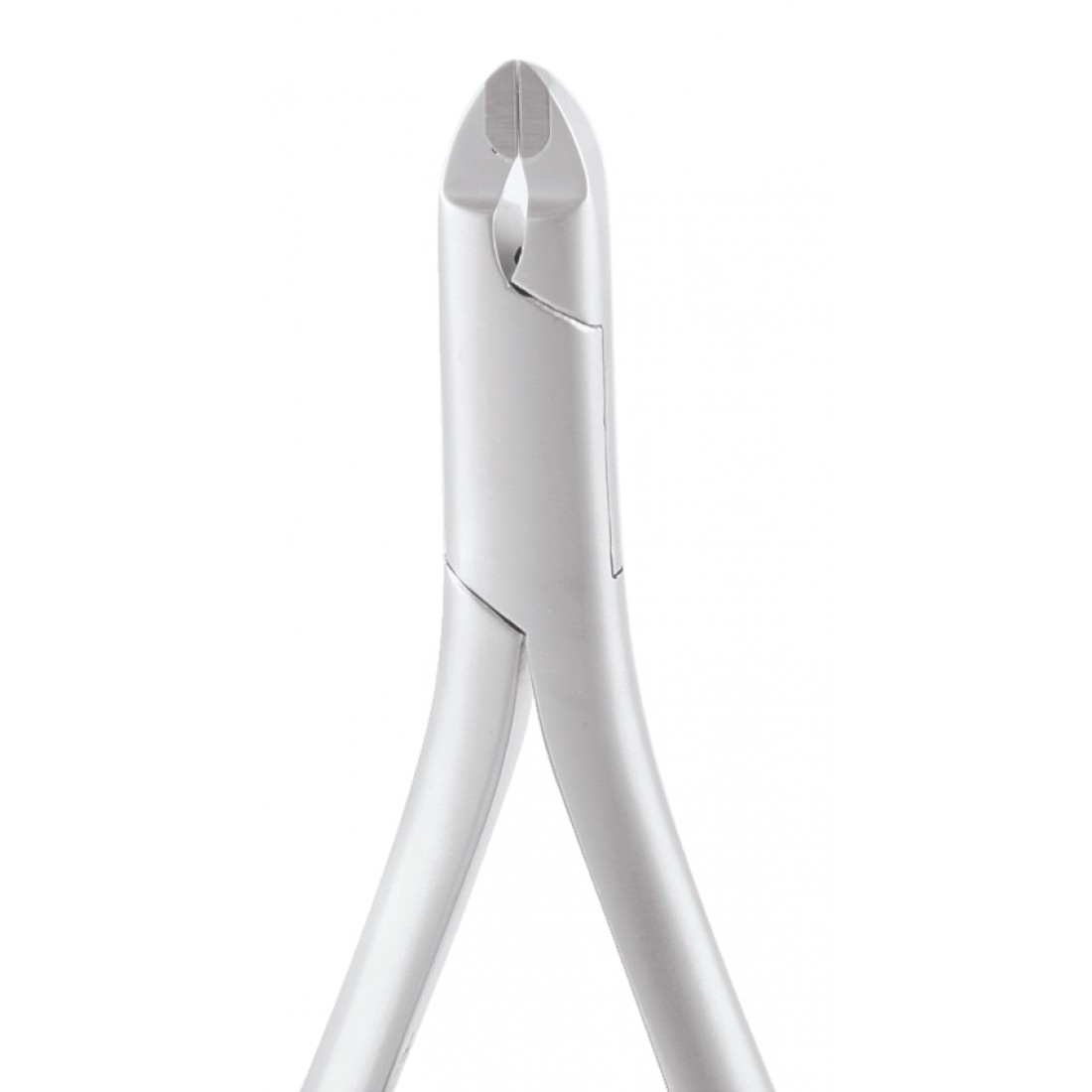 Buy Orthodontic Ligature Cutter 3000-708 GDC Online at Lowest ...