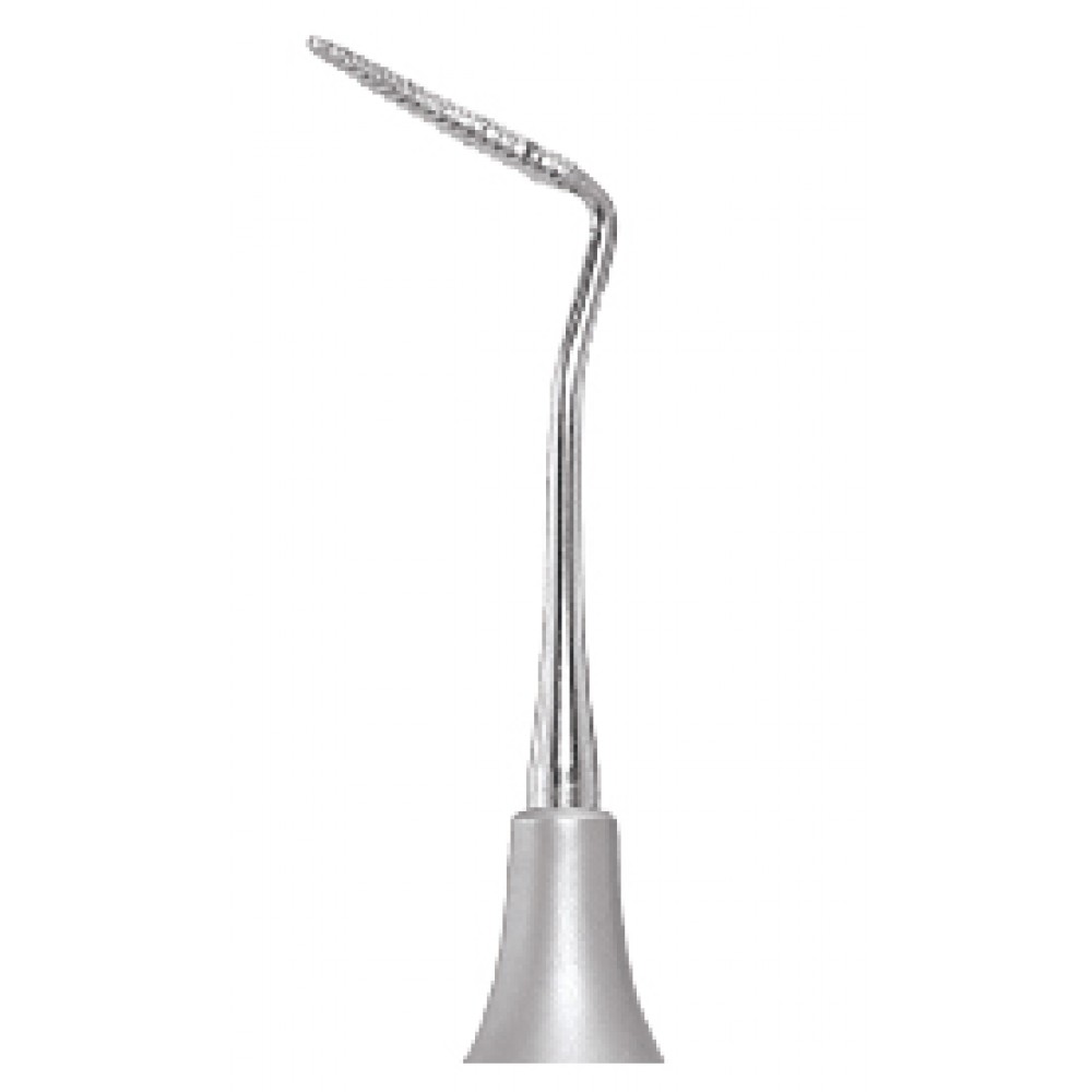 Buy Periodontal Schluger Bone Files FS9 10S GDC Online at ...