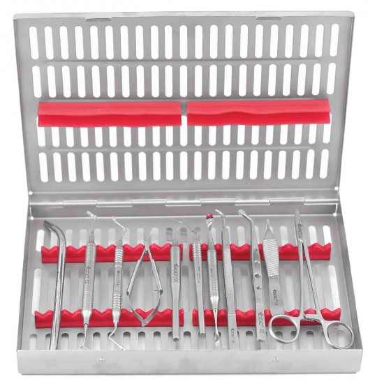 Buy Perio Surgical Instruments Set of 12 PSIWC12 GDC Online ...