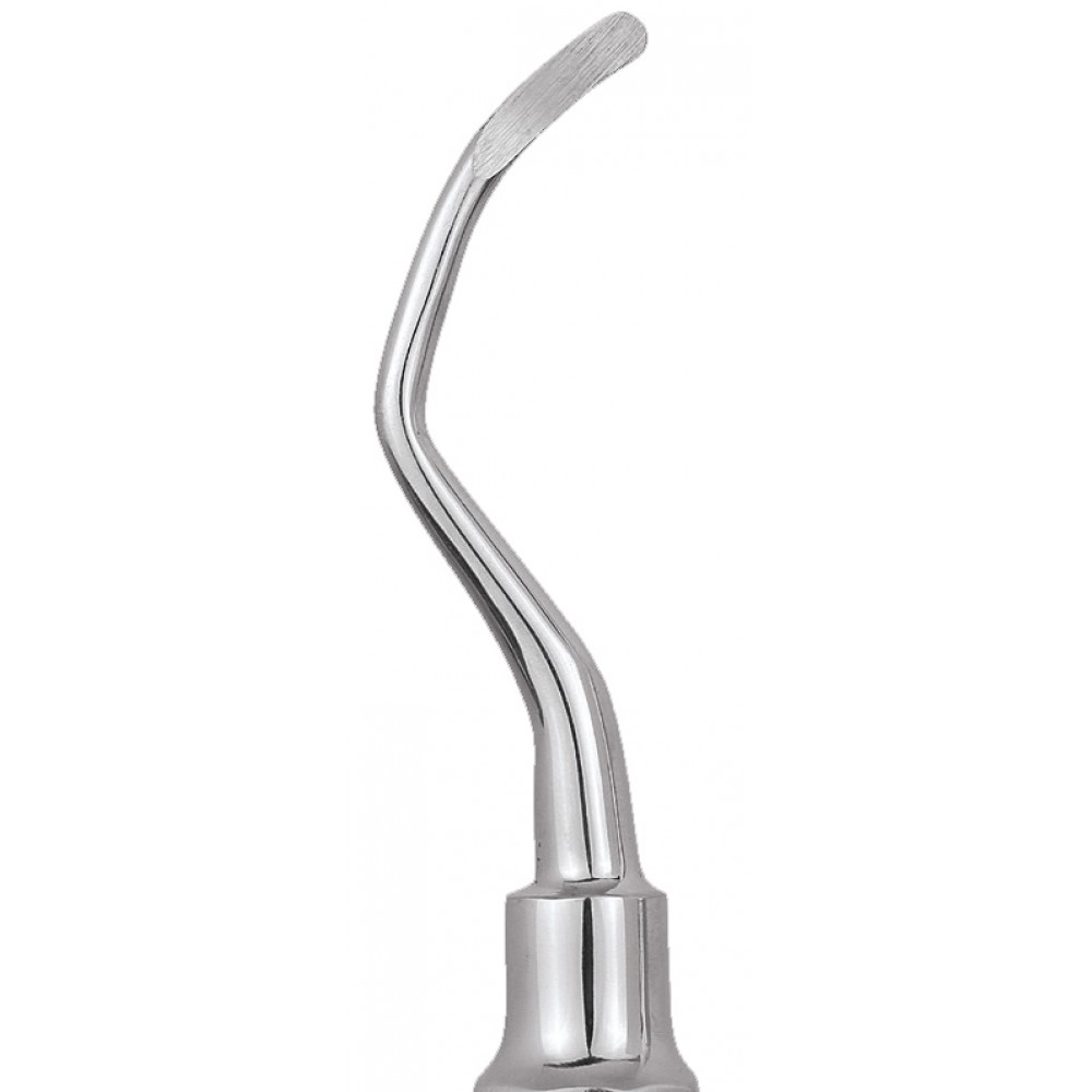 Buy Standard Root Elevators Miller Apexo E71 GDC Online at ...