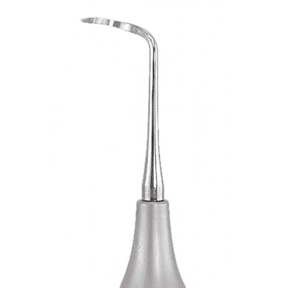 Buy Sickle Scaler Posterior SCNEVI2 Handle No 6 GDC Online ...