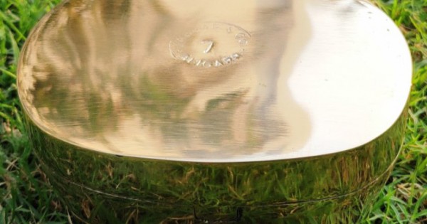 Buy and Shop Genuine Dental Flasks Buy Dental Flasks Online ...