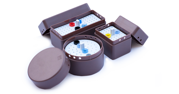 Buy Endo Box Oro Online at Lowest Best Price Guaranteed India ...