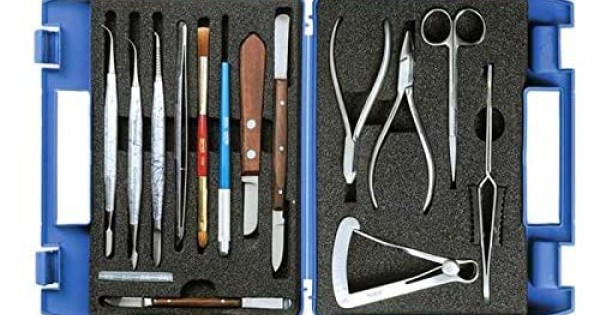 Buy Instrument set Deluxe Renfert Online at Lowest Best Price ...