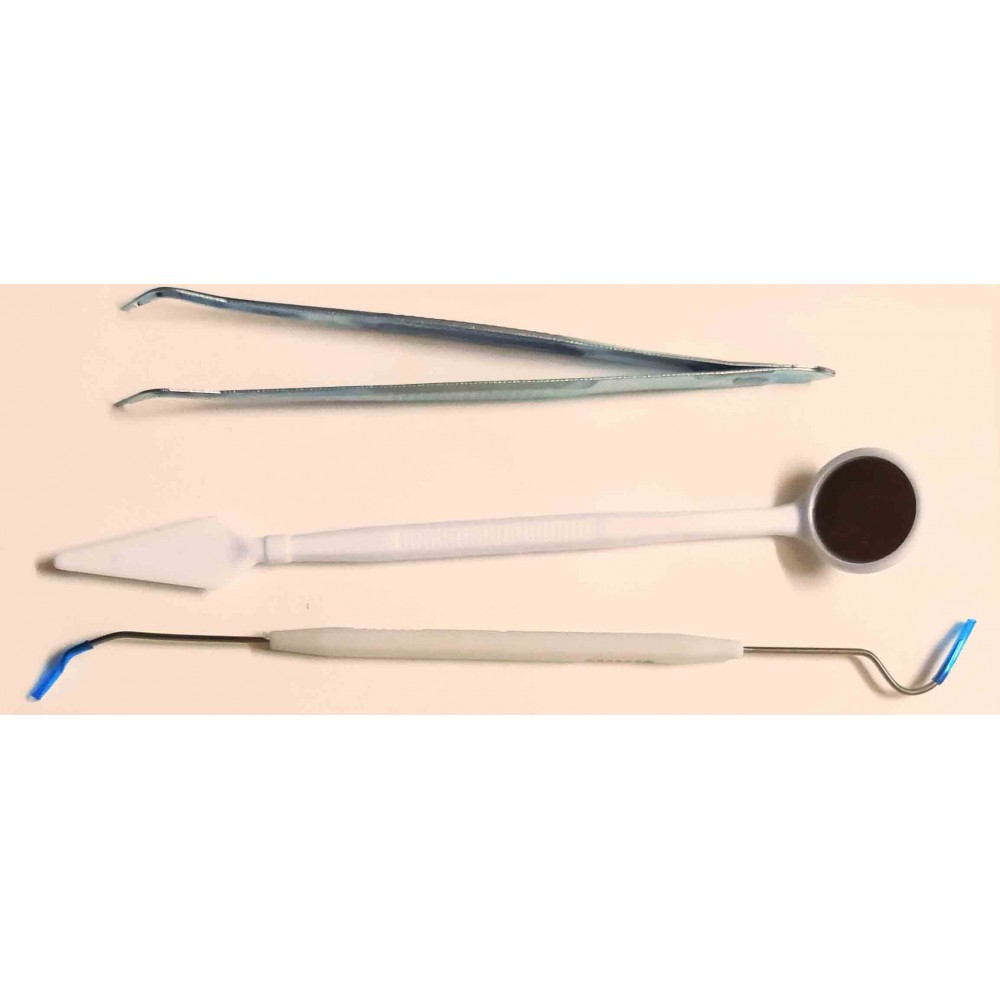 Buy Lot of 100 Disposable Dental 3 in 1 Kit SKYLOC DENTEC ...