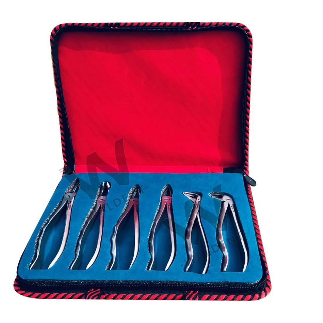 Buy Atraumatic Extraction Forceps Set Anatomic Handle WALDENT ...