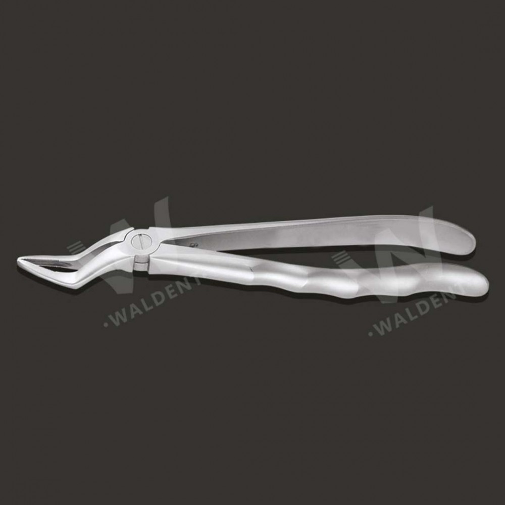 Buy Atraumatic Extraction Forceps Set Anatomic Handle WALDENT ...