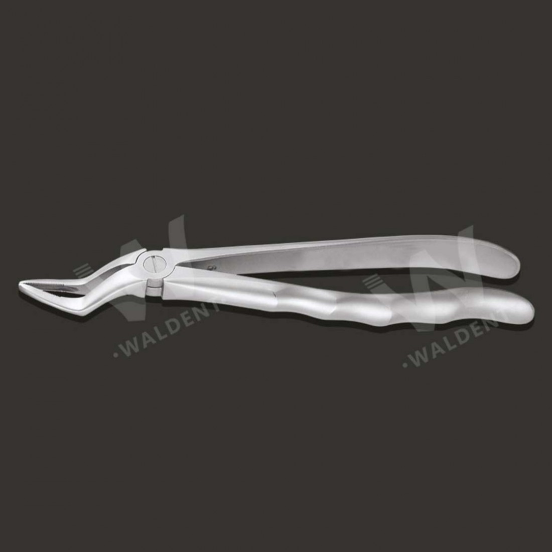 Buy Atraumatic Extraction Forceps Set Anatomic Handle WALDENT ...