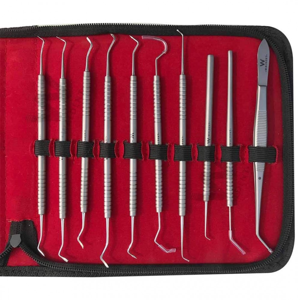 Buy Conservative Instrument Kit WALDENT Online at Lowest ...