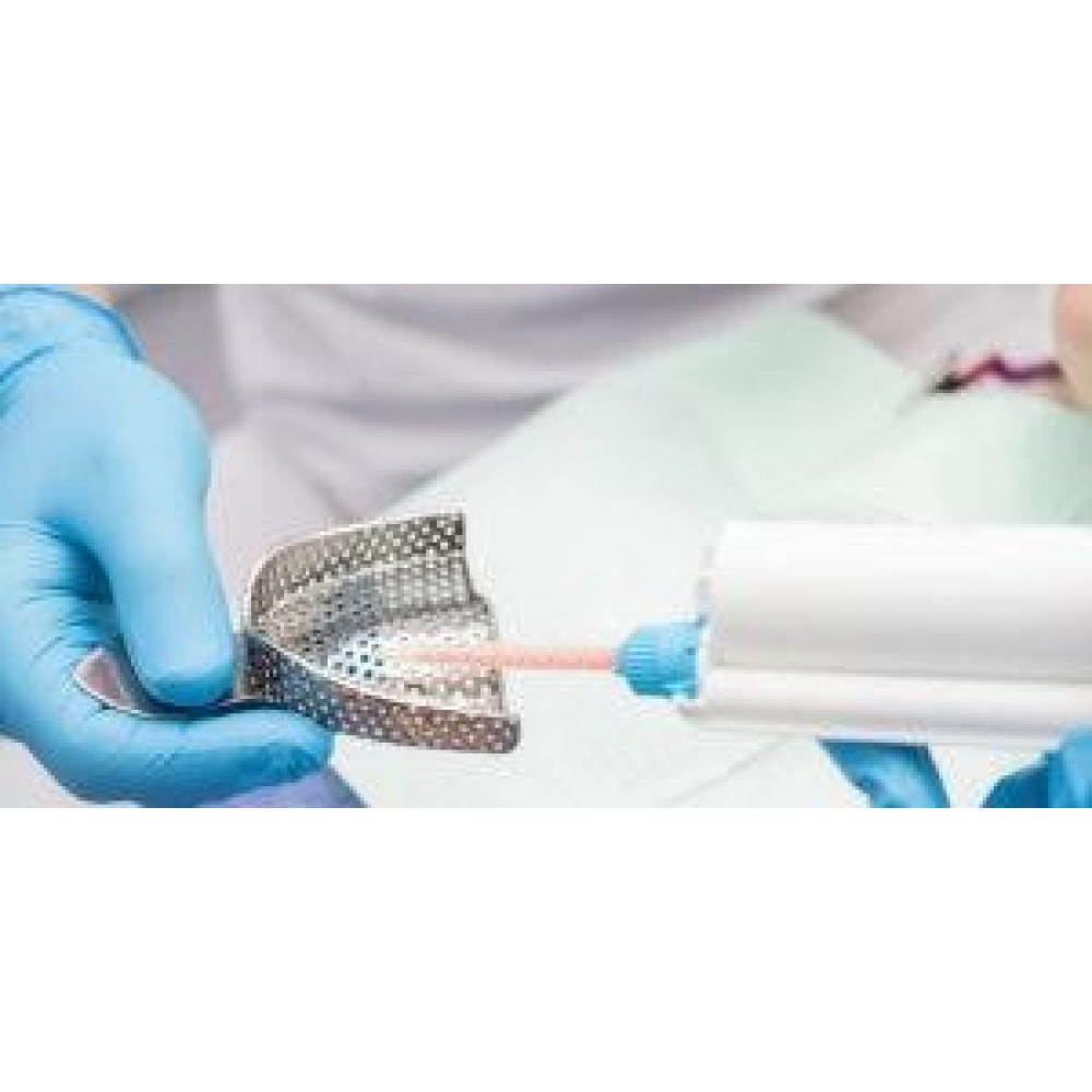 Buy Dentulous Perforated Rim Lock Impression Trays WALDENT ...