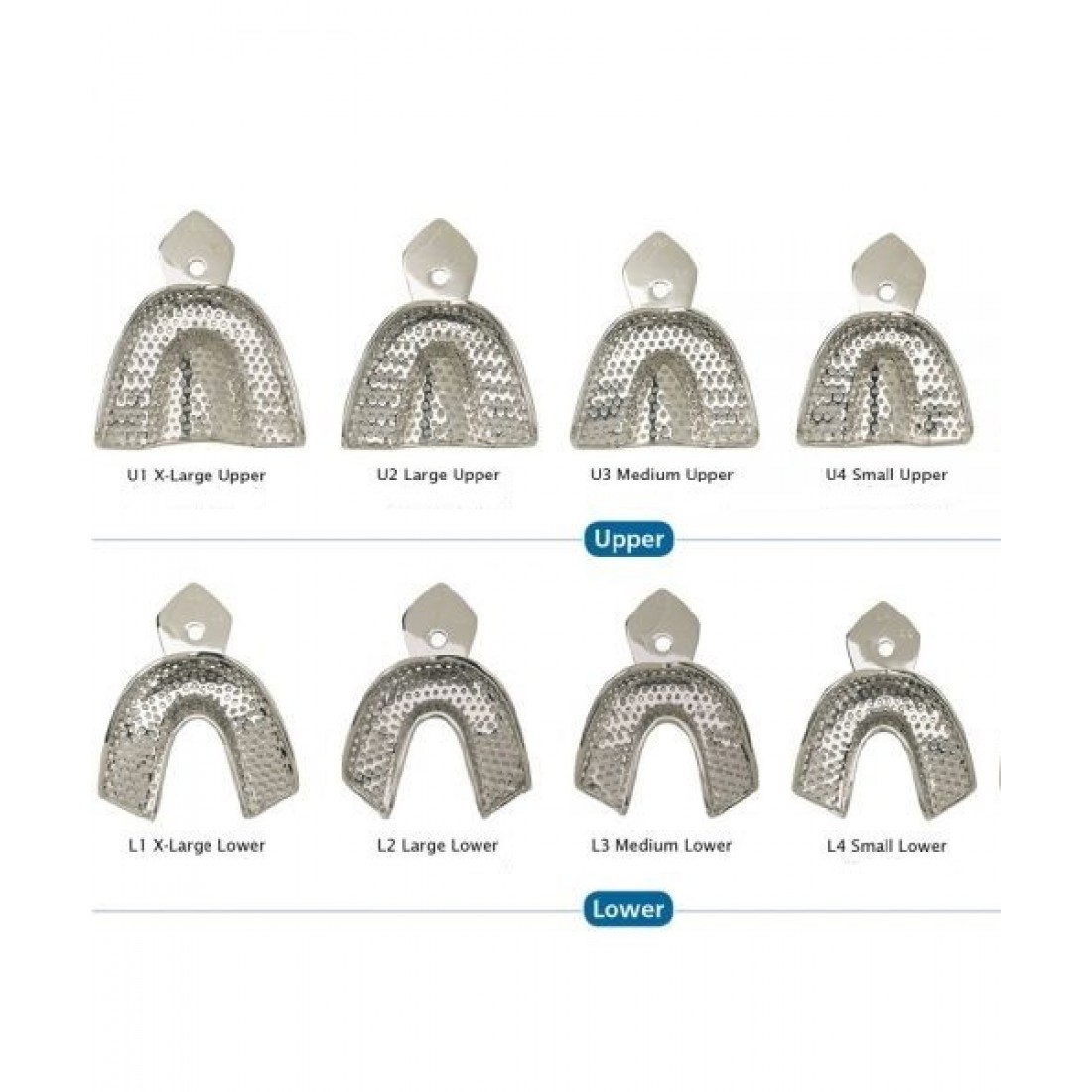 Buy Dentulous Perforated Rim Lock Impression Trays WALDENT ...