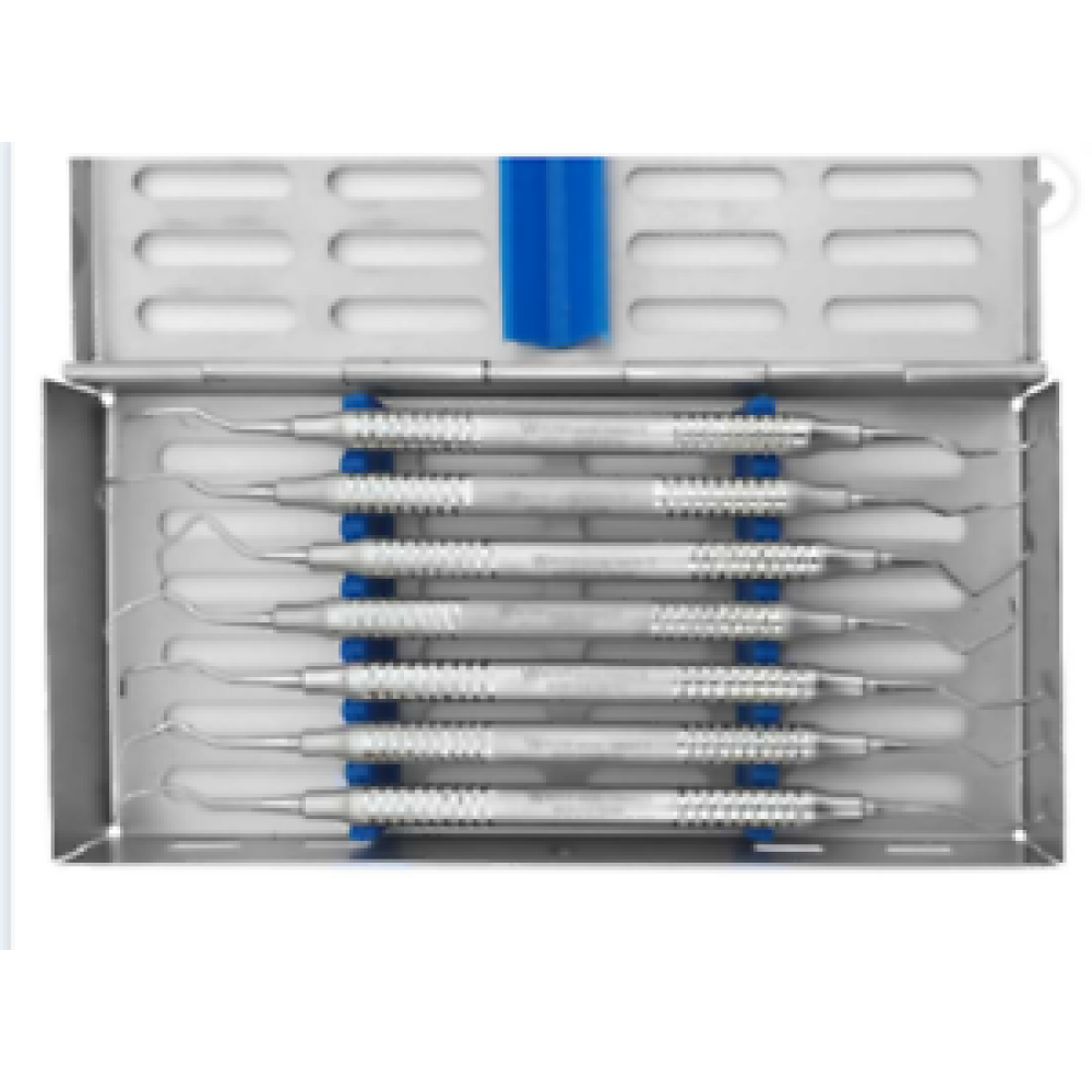 Buy Gracey Curettes Set of 7 With Cassette WALDENT Online ...